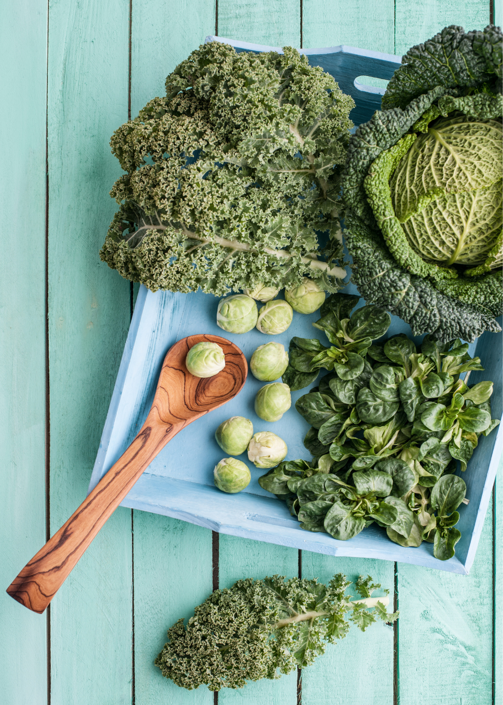 Top 8 Vegetables Highest in Protein – Bed Threads