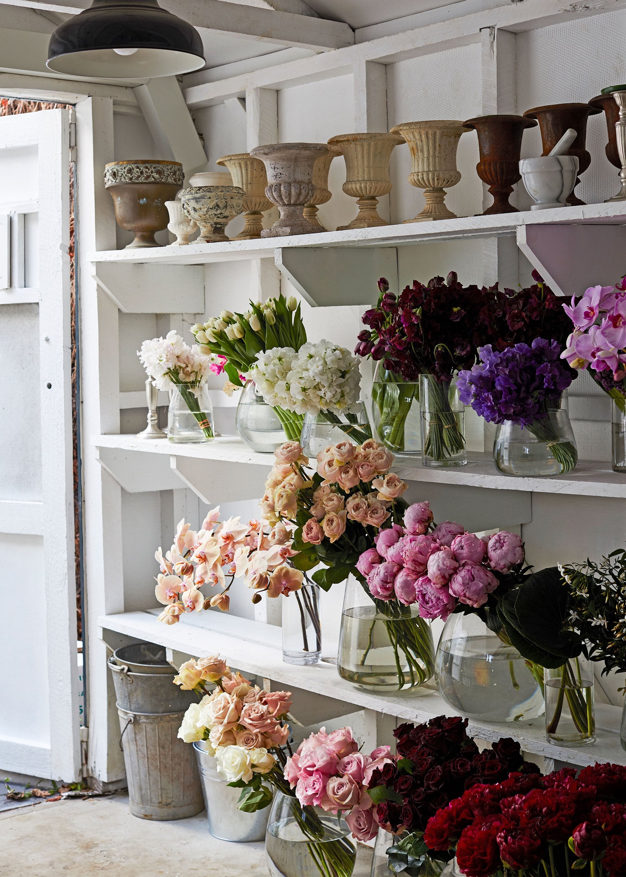 Flannel Flowers and 6 Other Trending Florals That Will Be Everywhere i ...