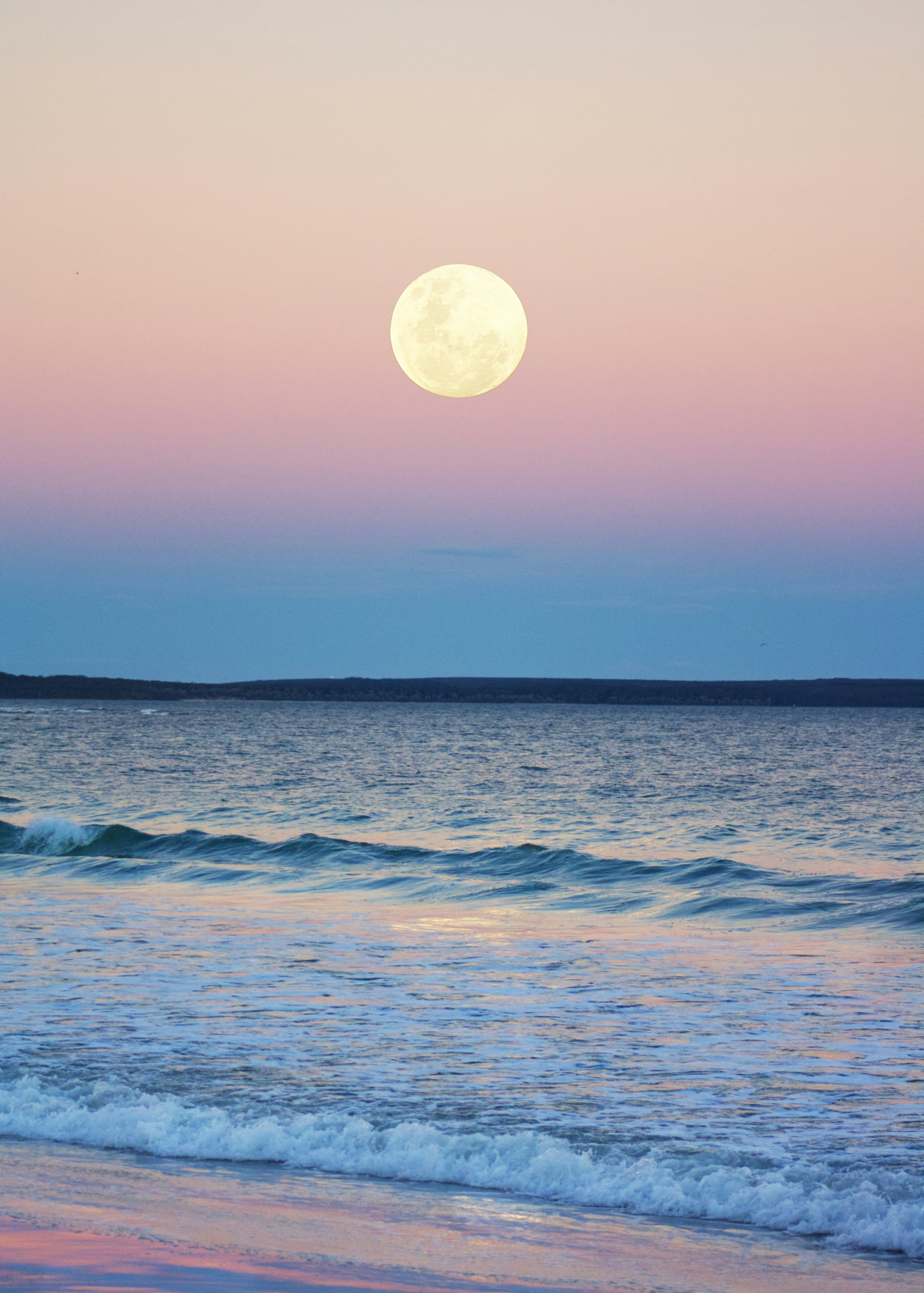 Cardinal, Fixed & Mutable Signs: Which Astrological Quality Are You ...